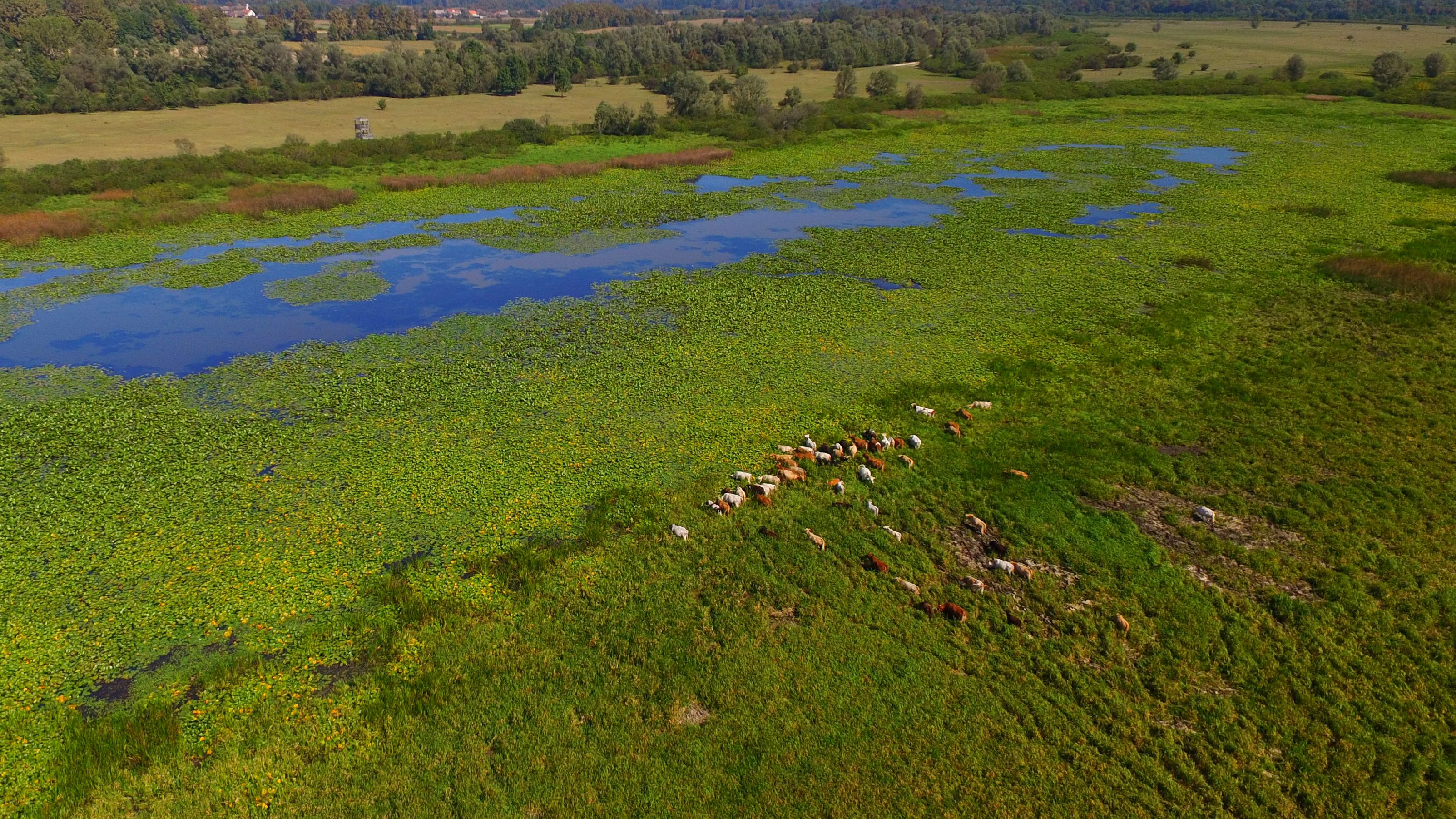 Brod-Posavina County: away from the city hustle